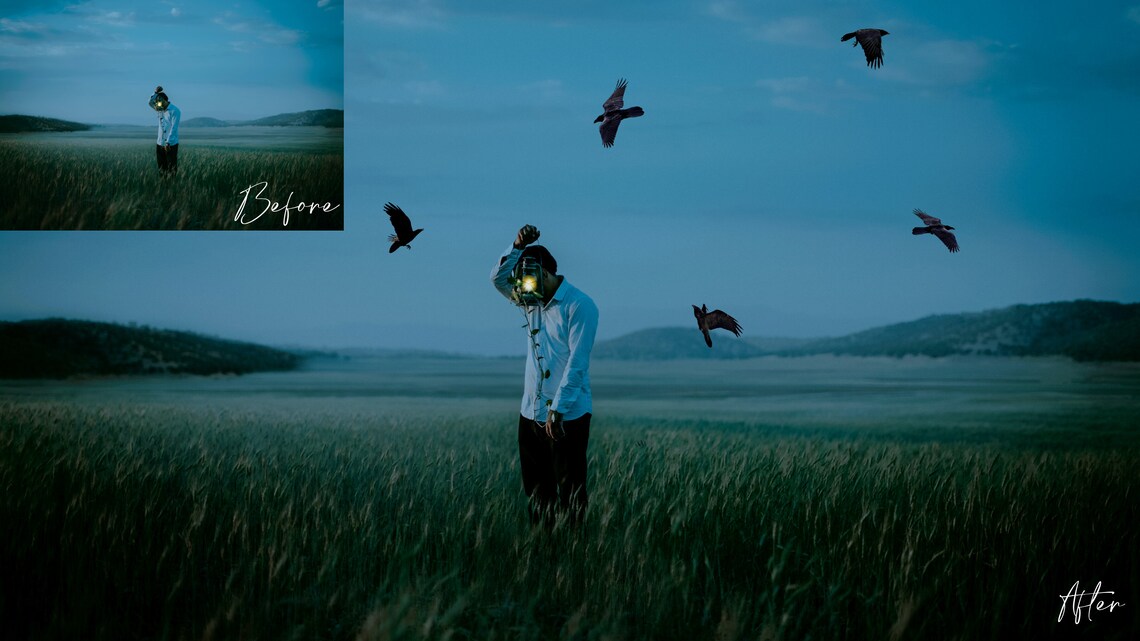 30 Realistic Raven Photoshop Overlays - Transparent PNG, Bird Overlays ...