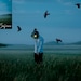 30 Realistic Raven Photoshop Overlays - Transparent PNG, Bird Overlays ...