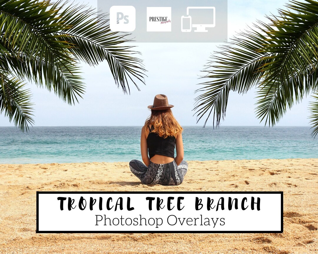 25 Tropical Tree Branch Photoshop Overlays: Realistic PNG (digital ...