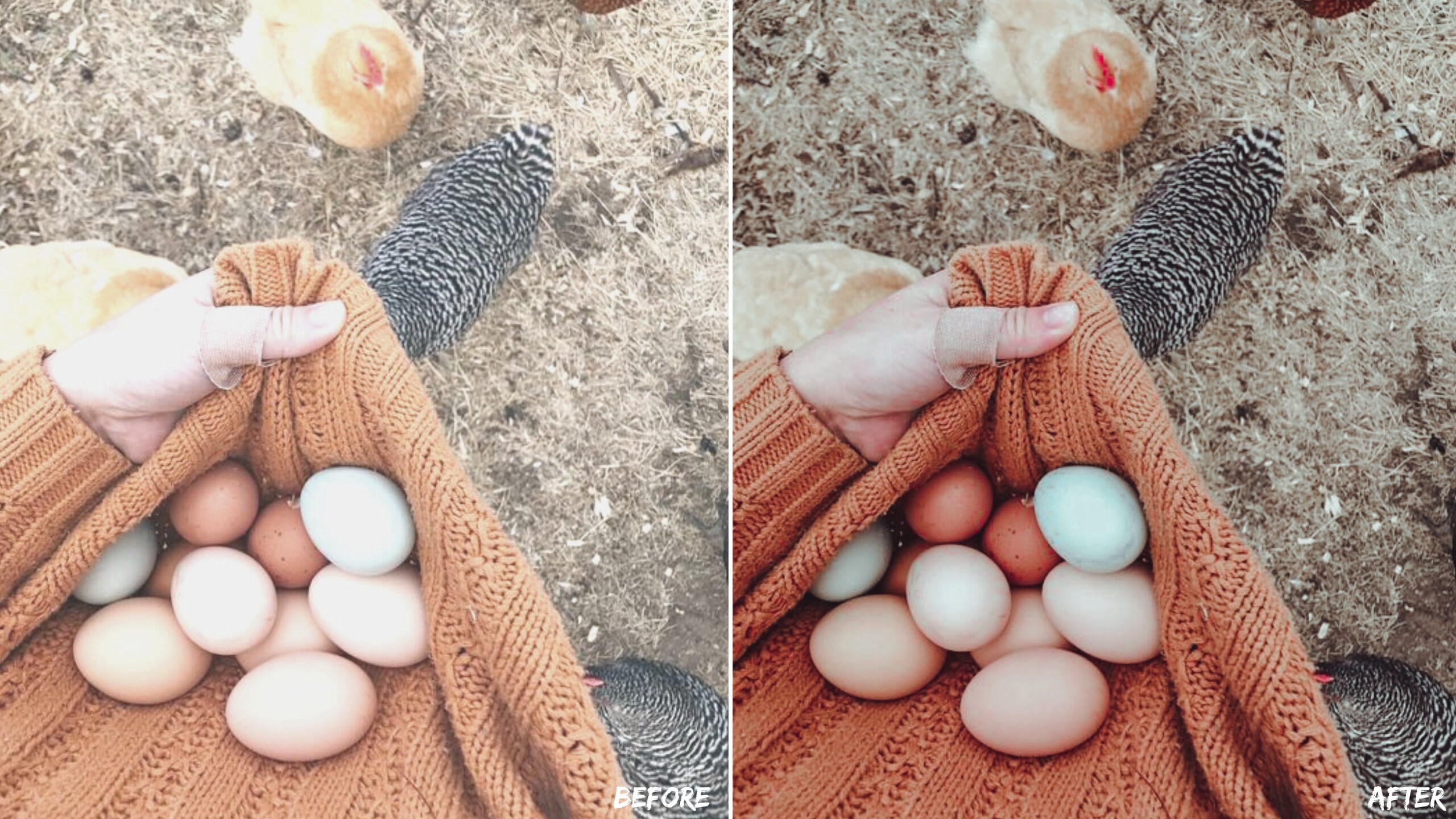 8 Pro Rustic Photoshop Actions Landscape Actions Rustic - Etsy