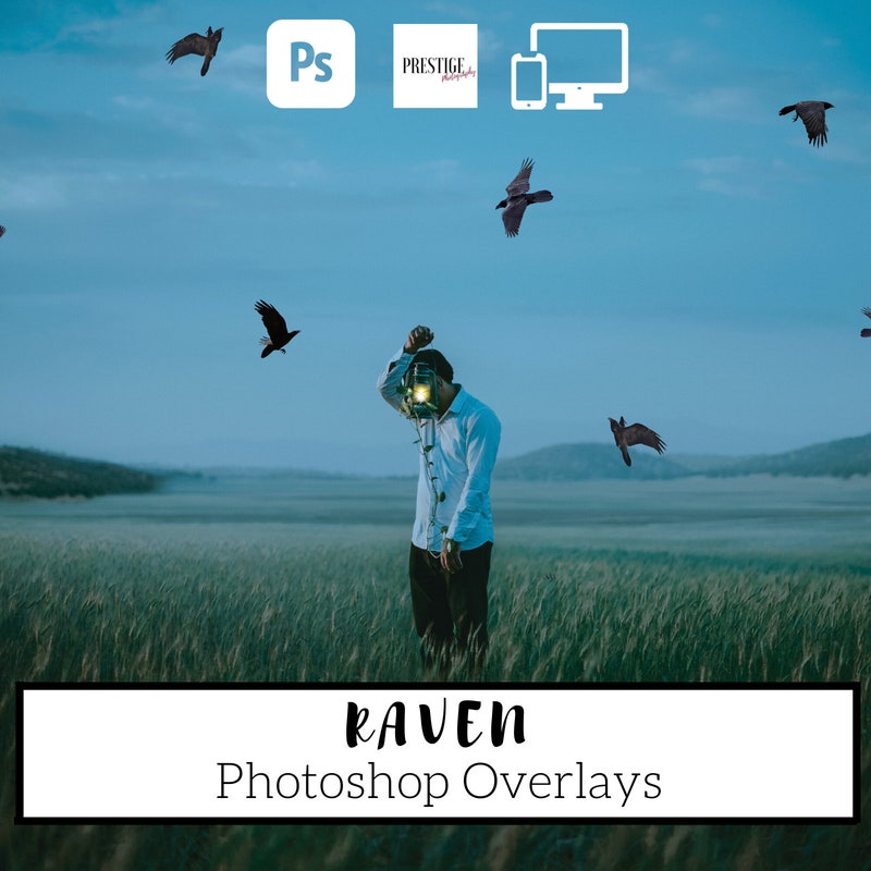 Raven Photography - Etsy