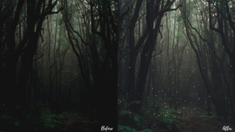 70 Realistic Firefly Photoshop Overlays Transparent JPG - Etsy