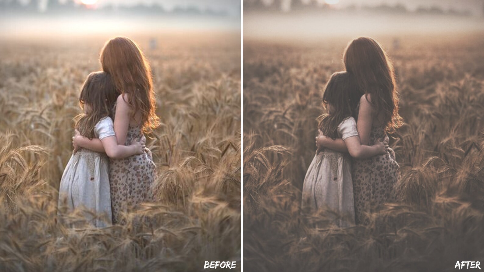 5 Pro Moody Farm Photoshop Actions Great Portraits - Etsy UK