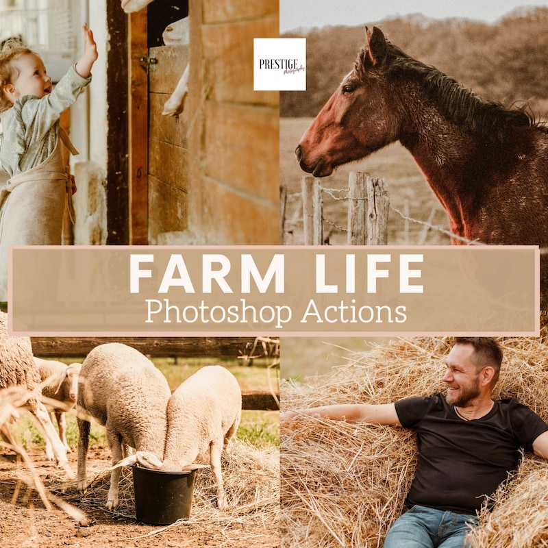 Farm Life Photo - Etsy
