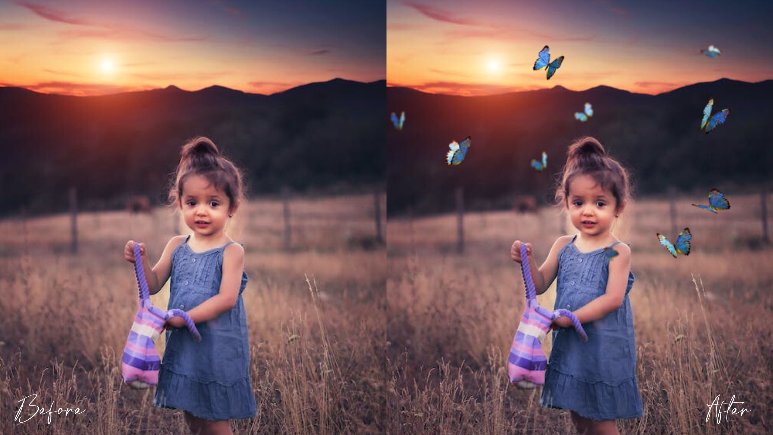 70 Realistic Butterfly and Moth Photoshop Overlays - Transparent PNG ...