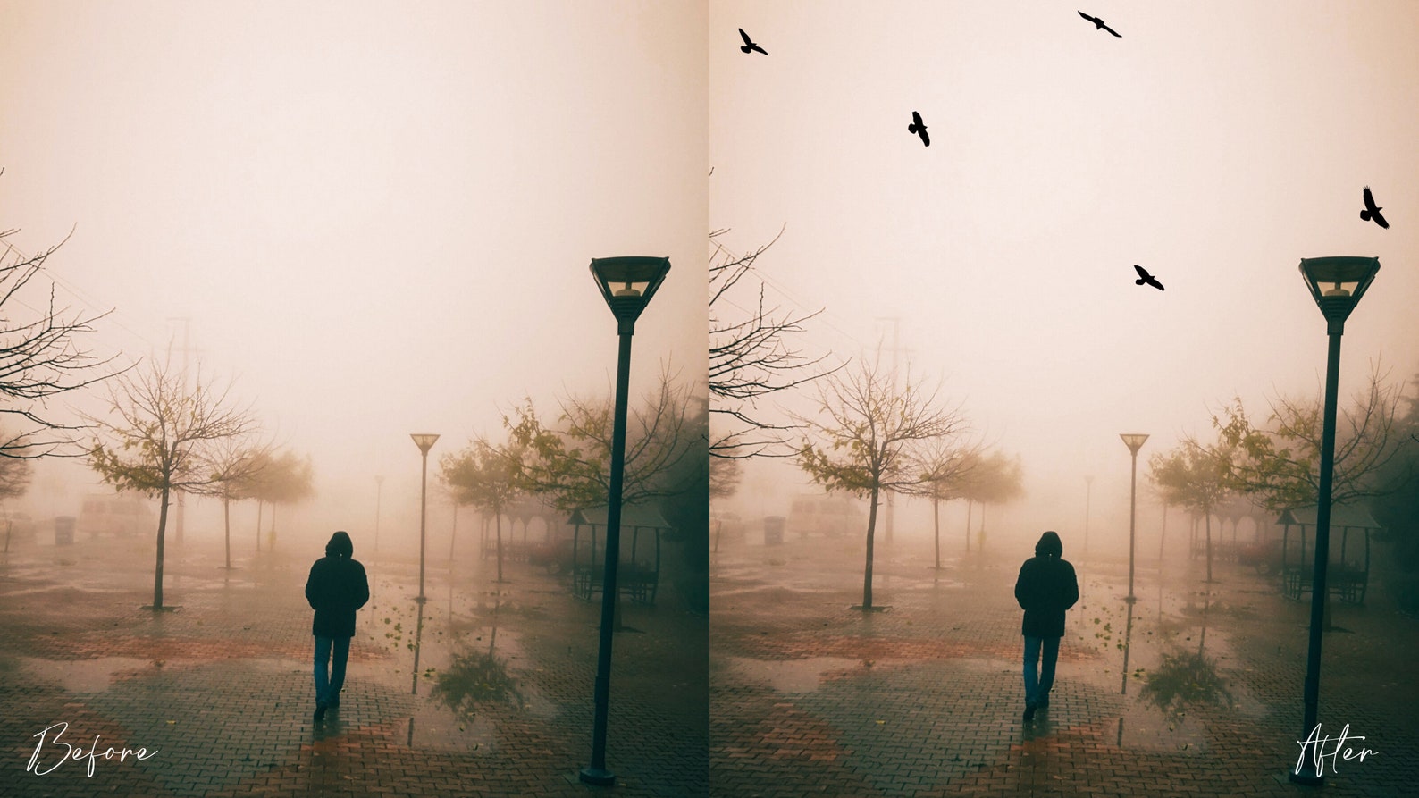30 Realistic Raven Photoshop Overlays - Transparent PNG, Bird Overlays ...