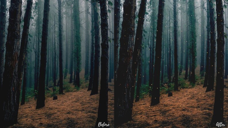 70 Realistic Firefly Photoshop Overlays Transparent JPG - Etsy