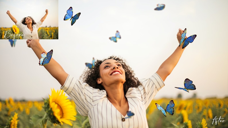 Realistic Butterfly & Moth Photoshop Overlays – Transparent PNG ...