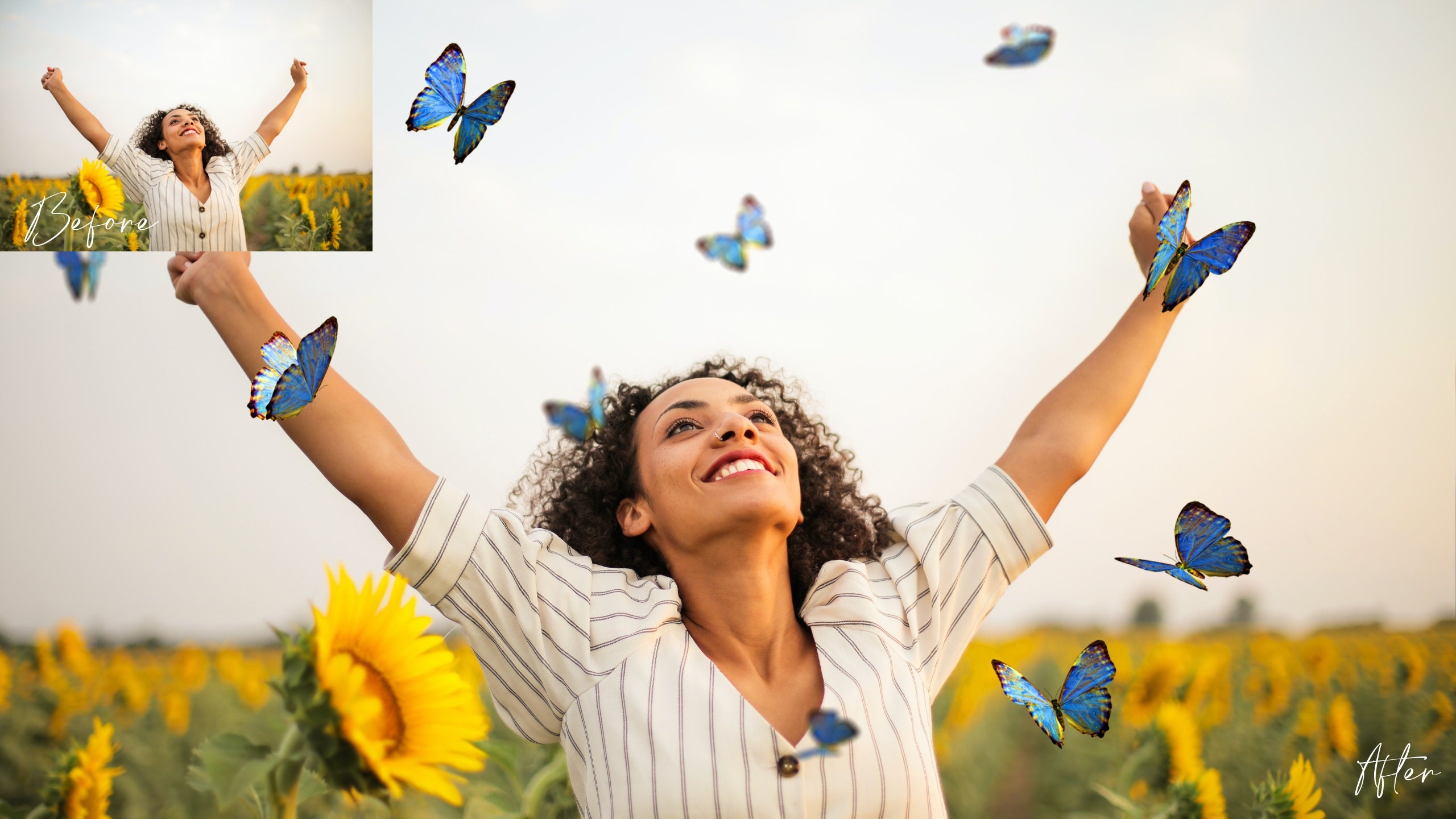 70 Realistic Butterfly and Moth Photoshop Overlays - Transparent PNG ...