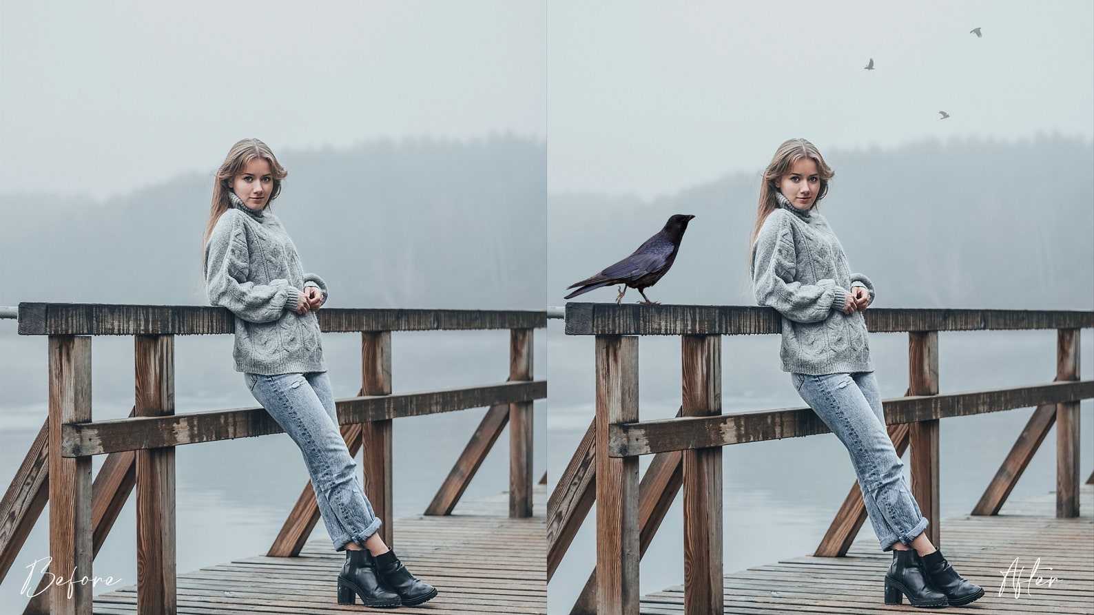 30 Realistic Raven Photoshop Overlays - Transparent PNG, Bird Overlays ...