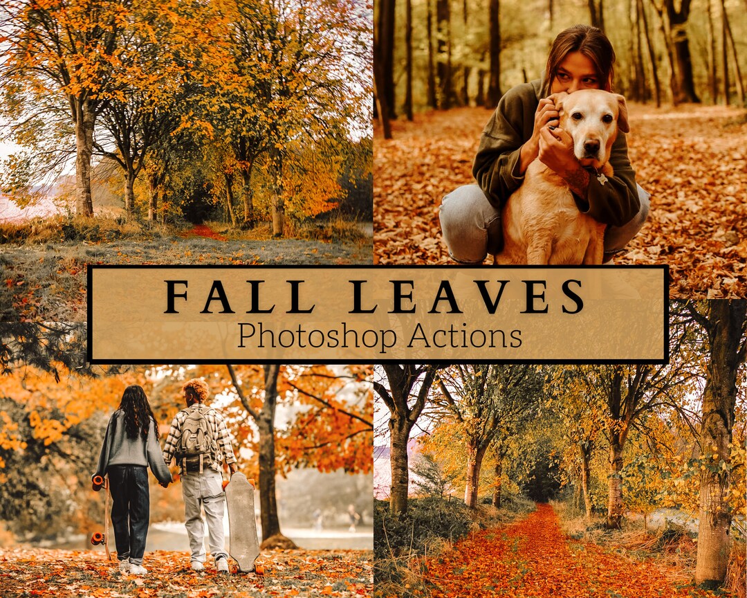 Fall Leaves Photoshop Actions: Autumn Photo Effects (ATN) - Etsy