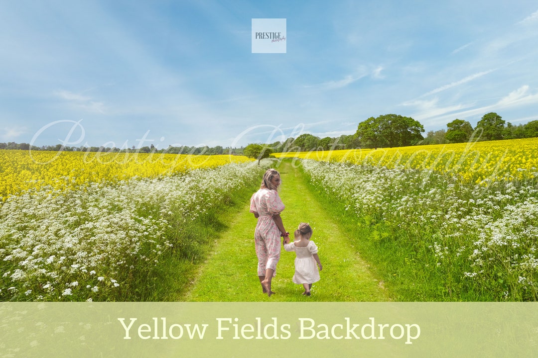 Yellow Fields Backdrop, Digital Photo Backdrop, Nature Backdrop, Summer ...