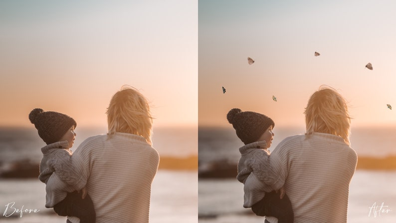 Realistic Butterfly & Moth Photoshop Overlays – Transparent PNG ...