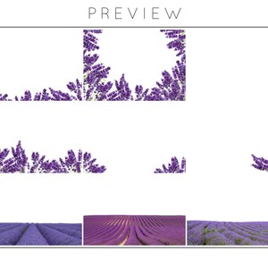 Realistic Lavender Photoshop Overlays - Transparent PNG, Flower ...