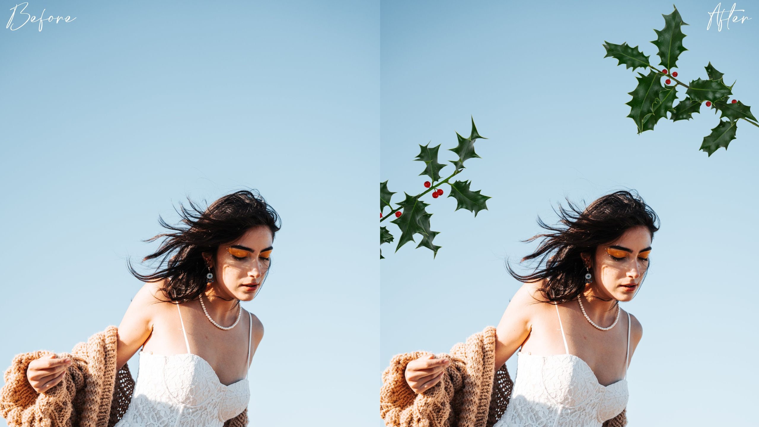 Realistic Holly Photoshop Overlays: 24 Christmas Photo Effects (digital ...