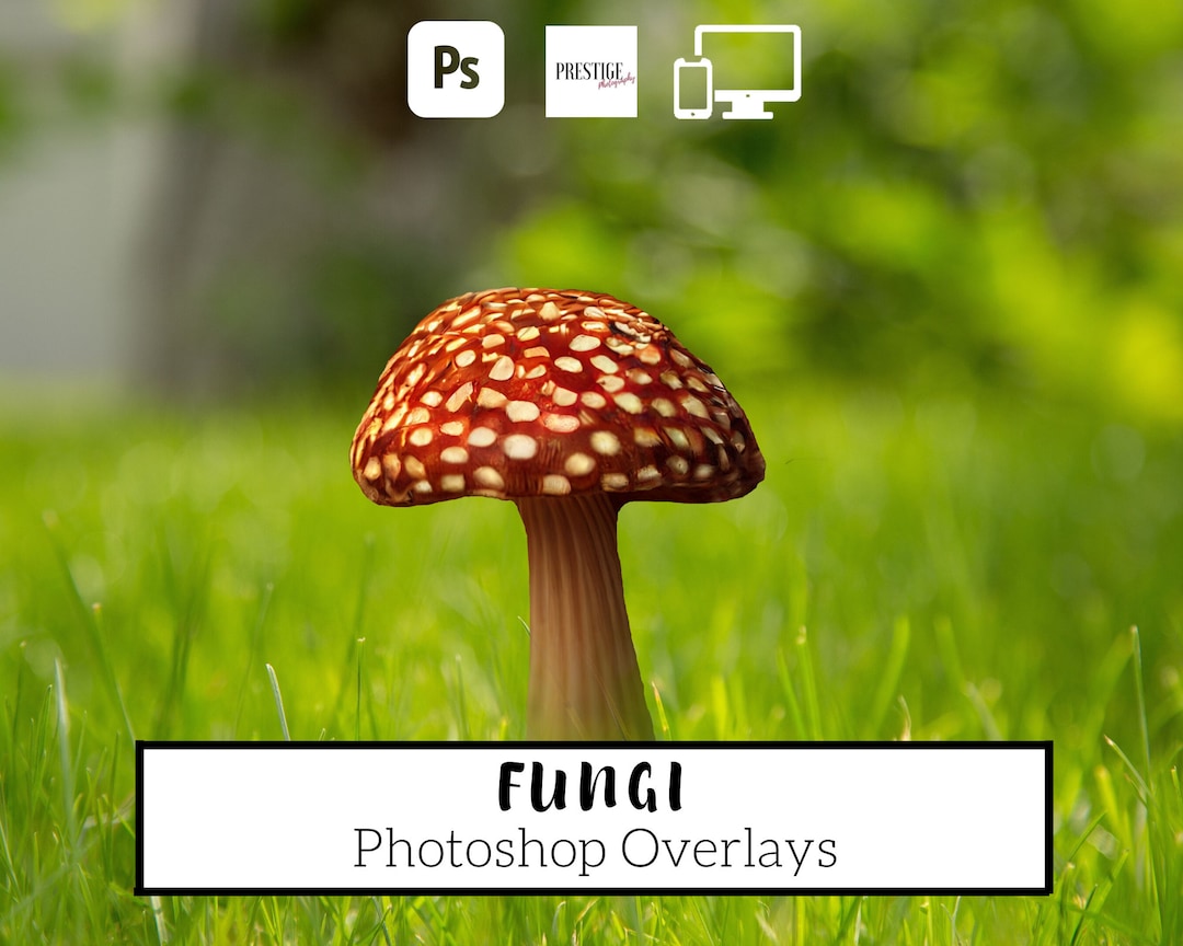 Realistic Fungi Photoshop Overlays: 27 Transparent PNG (digital ...