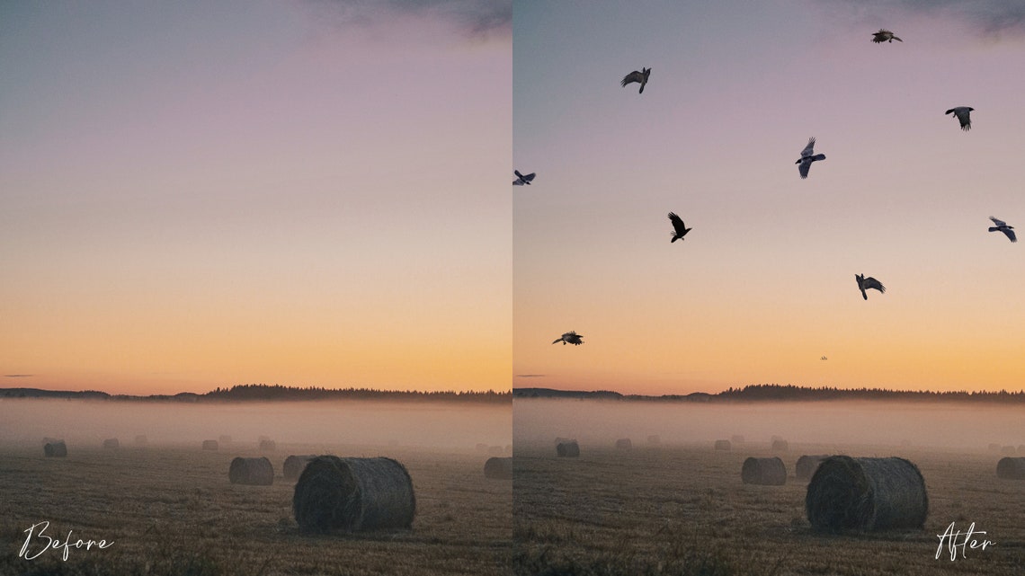 30 Realistic Raven Photoshop Overlays - Transparent PNG, Bird Overlays ...