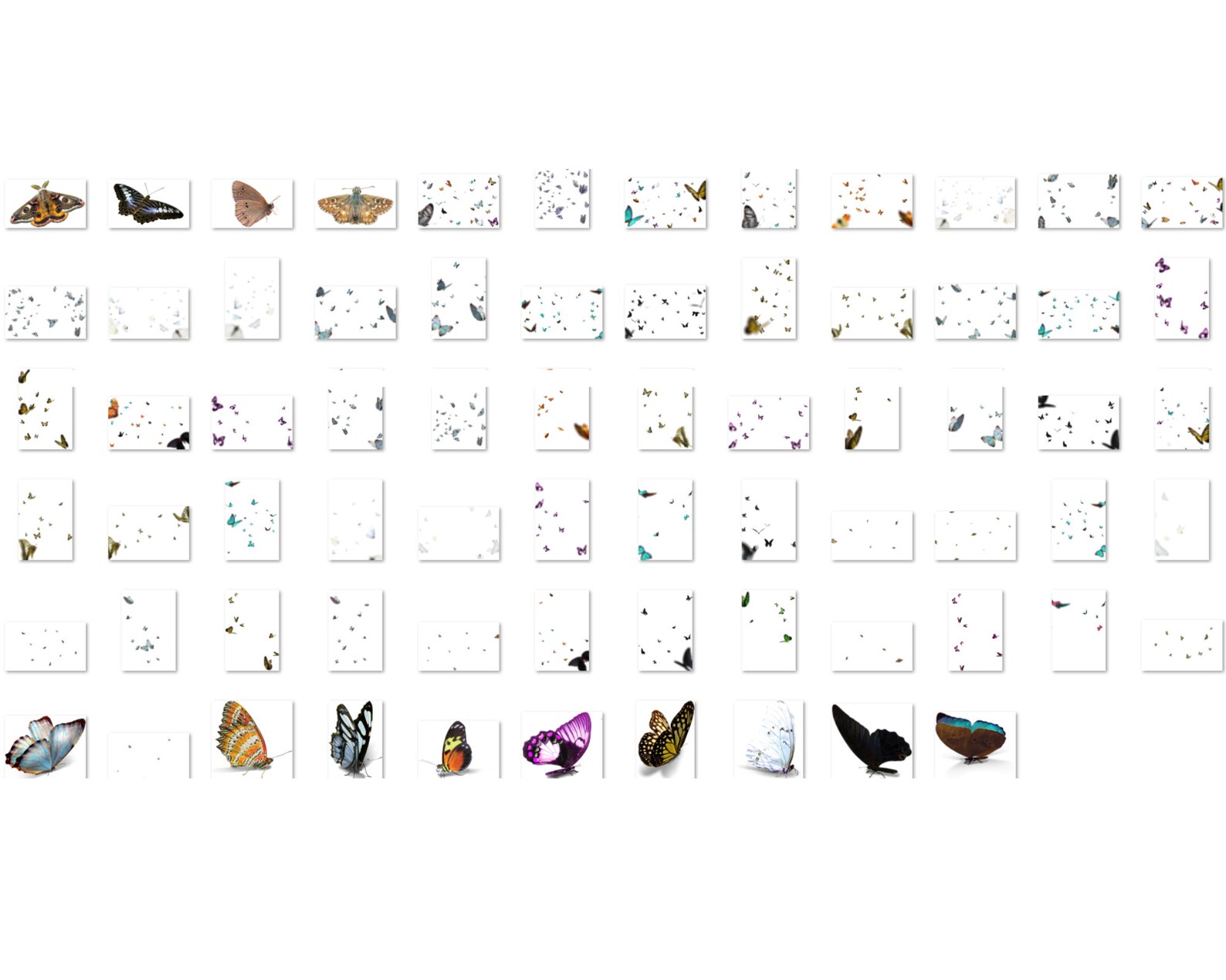 Realistic Butterfly & Moth Photoshop Overlays – Transparent PNG ...