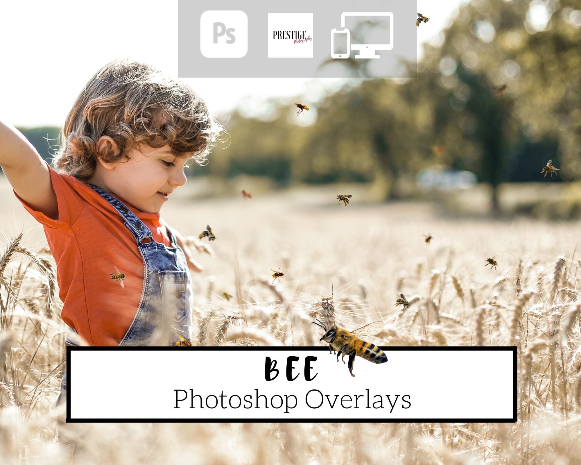 Realistic Bee Photo Overlays: 20 Transparent PNG (digital Download) - Etsy