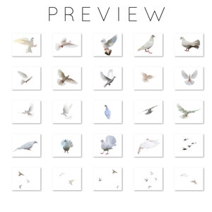 25 Realistic Dove Photoshop Overlays - Transparent PNG, Photoshop Bird ...