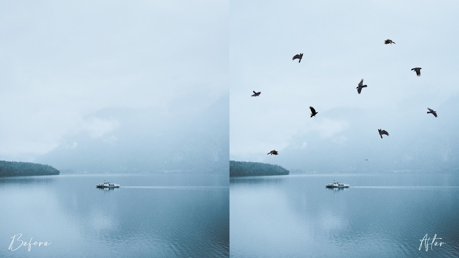30 Realistic Raven Photoshop Overlays - Transparent PNG, Bird Overlays ...