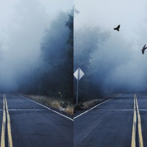 30 Realistic Raven Photoshop Overlays - Transparent PNG, Bird Overlays ...