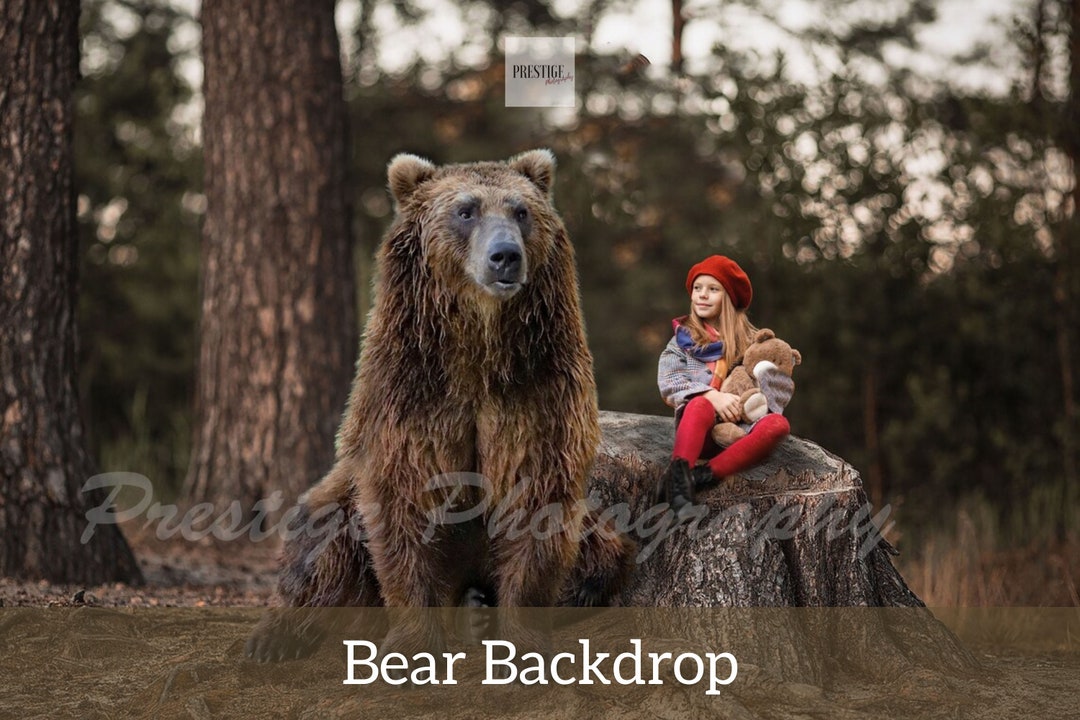 Bear Backdrop - Animal Backdrop, Forest Background, Nature Backdrop ...