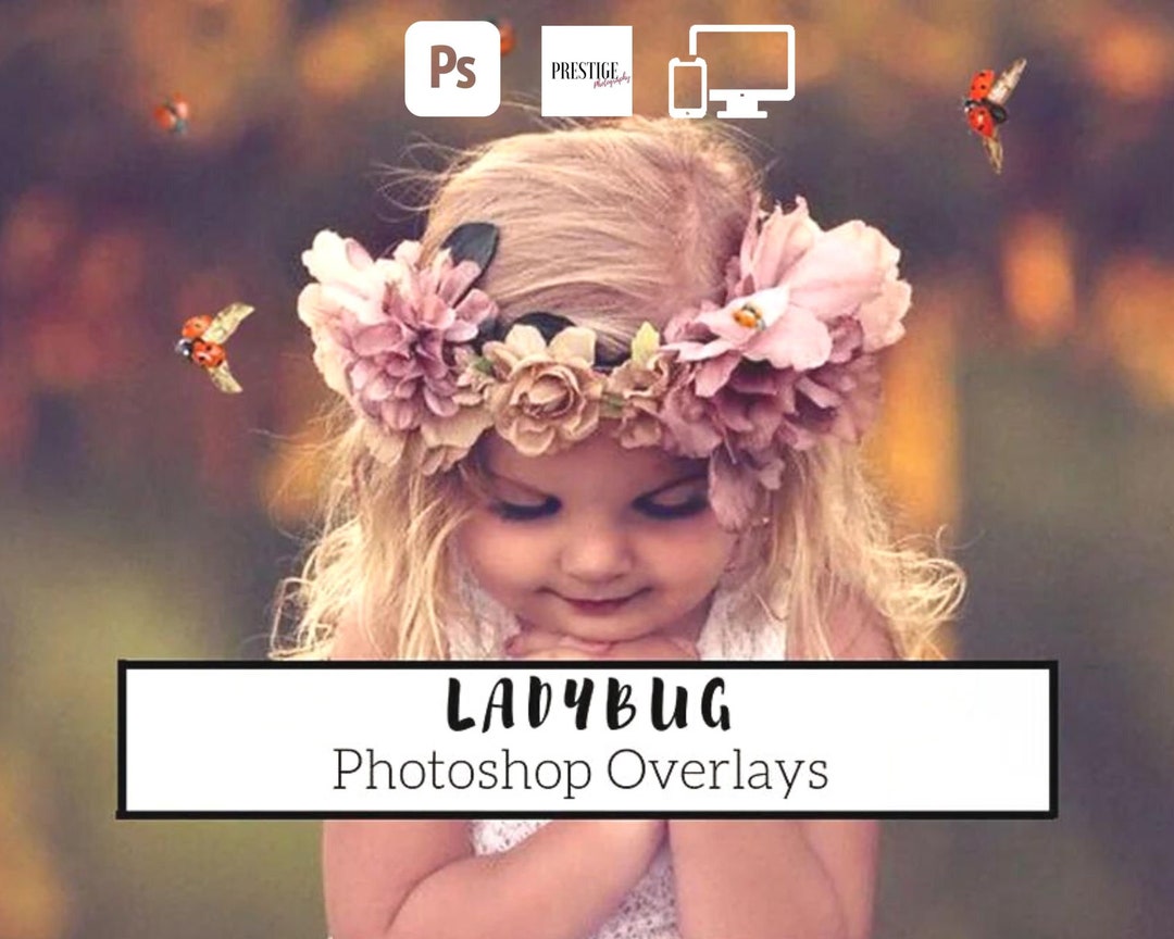 Realistic Ladybug Photoshop Overlays: 16 Transparent PNG (digital ...