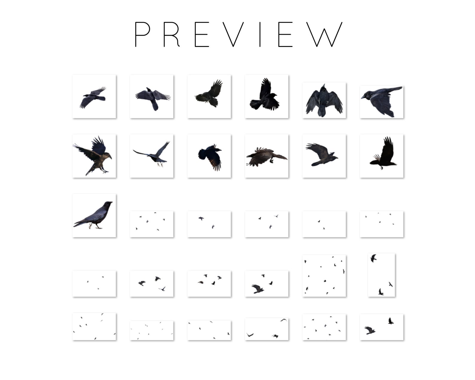 30 Realistic Raven Photoshop Overlays - Transparent PNG, Bird Overlays ...