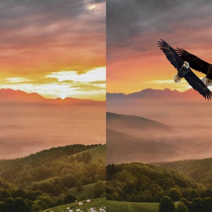 20 Realistic Eagle Photoshop Overlays - Transparent PNG, Photoshop ...