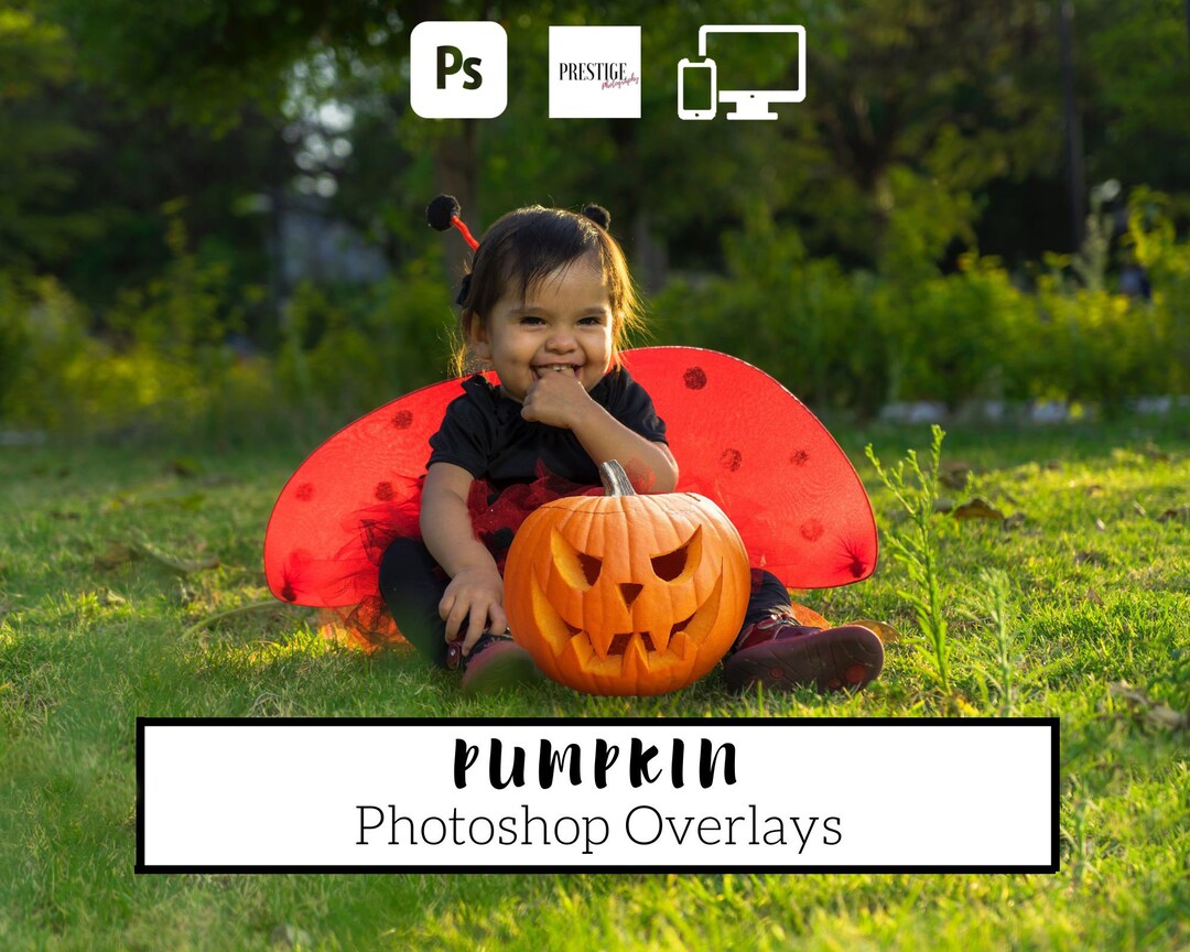 24 Realistic Pumpkin Photoshop Overlays - Transparent PNG, Halloween ...