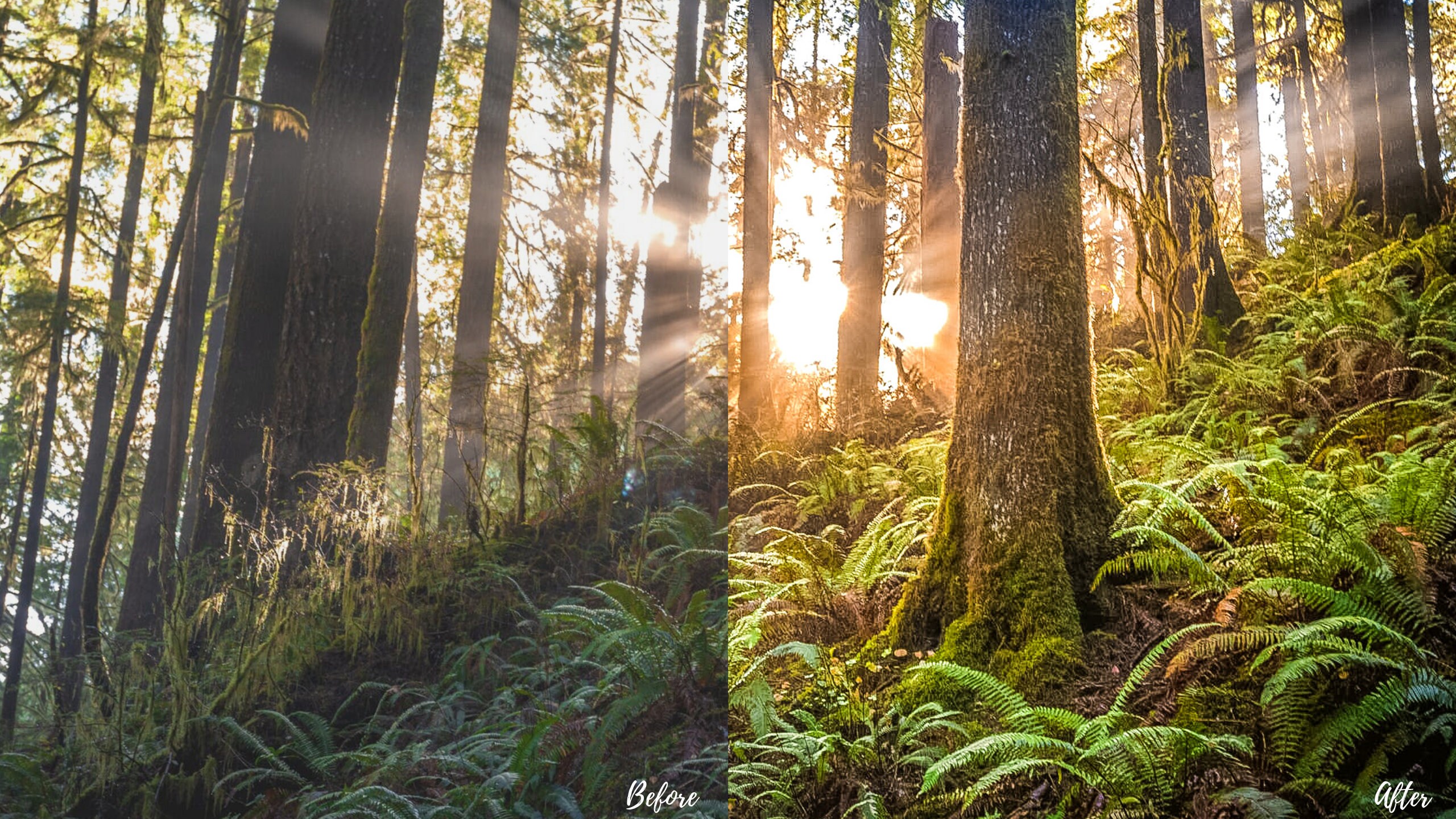 20 Mobile/desktop Pro HDR Lightroom Presets - Great for Landscape ...