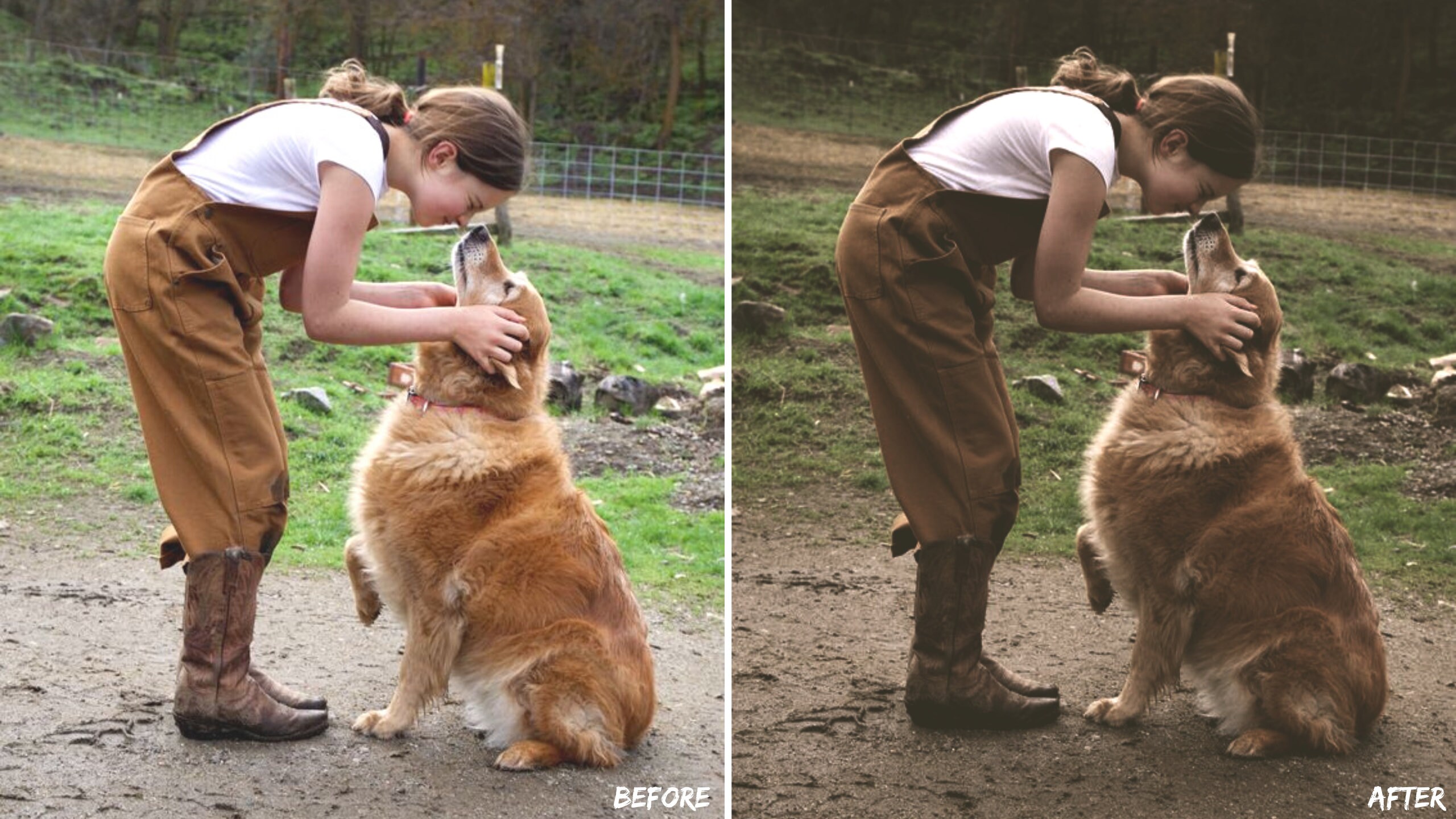 5 Pro Moody Farm Photoshop Actions Great Portraits - Etsy UK