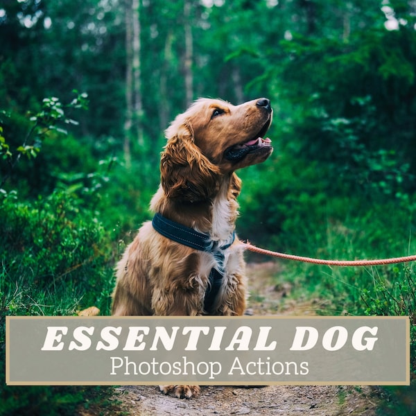 Dog Photoshop - Etsy