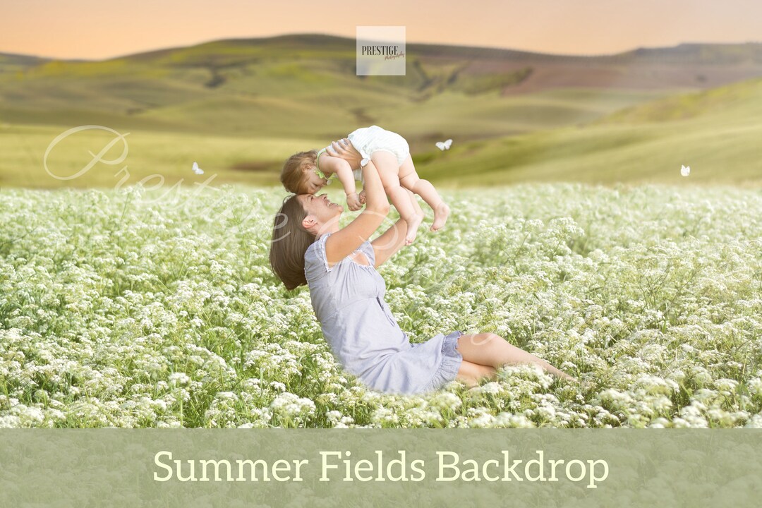 Summer Fields Digital Backdrop: Wildflower Meadow (JPG) - Etsy
