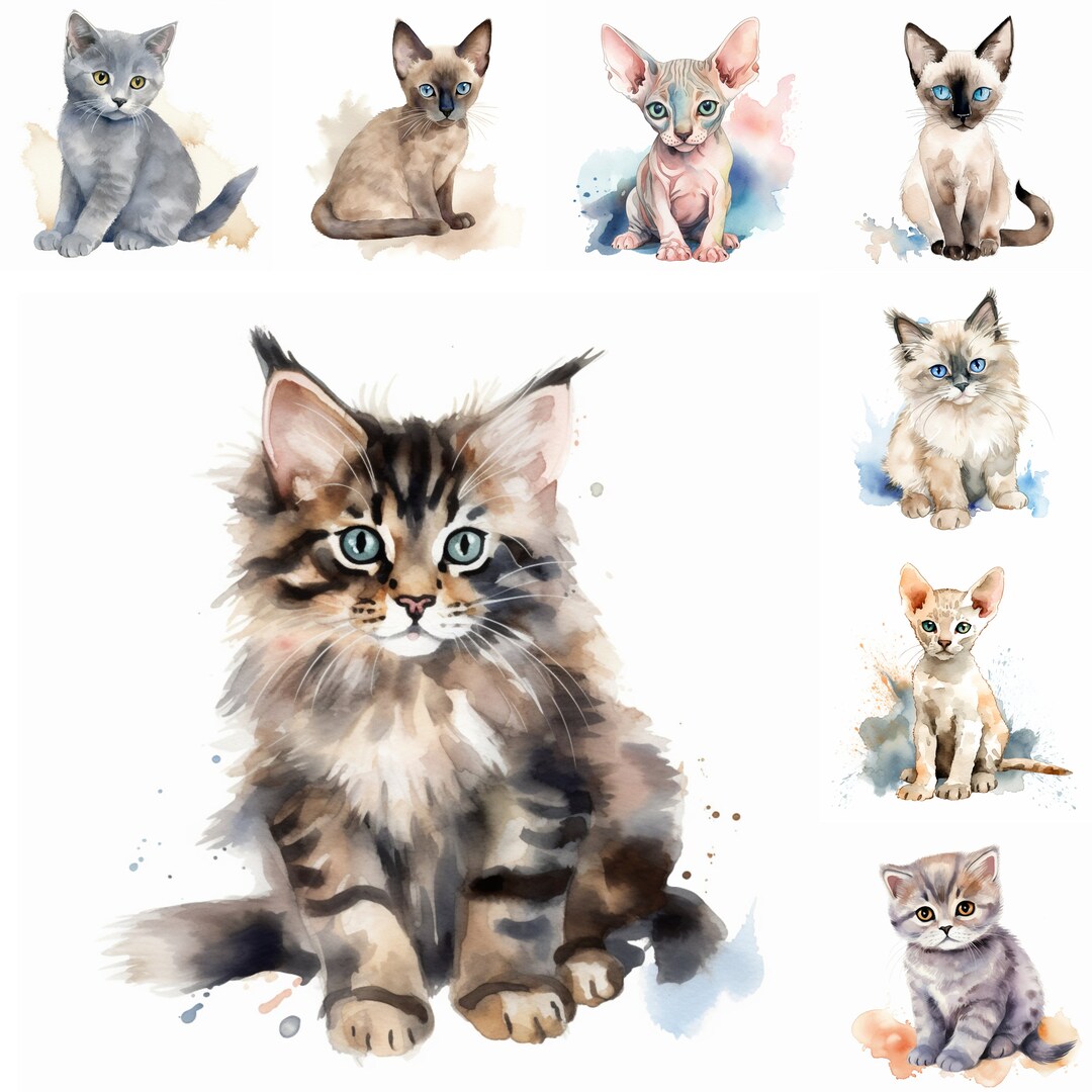 Watercolor Cat Clipart Cute Kittens 20 Cat Breads Bundle. - Etsy