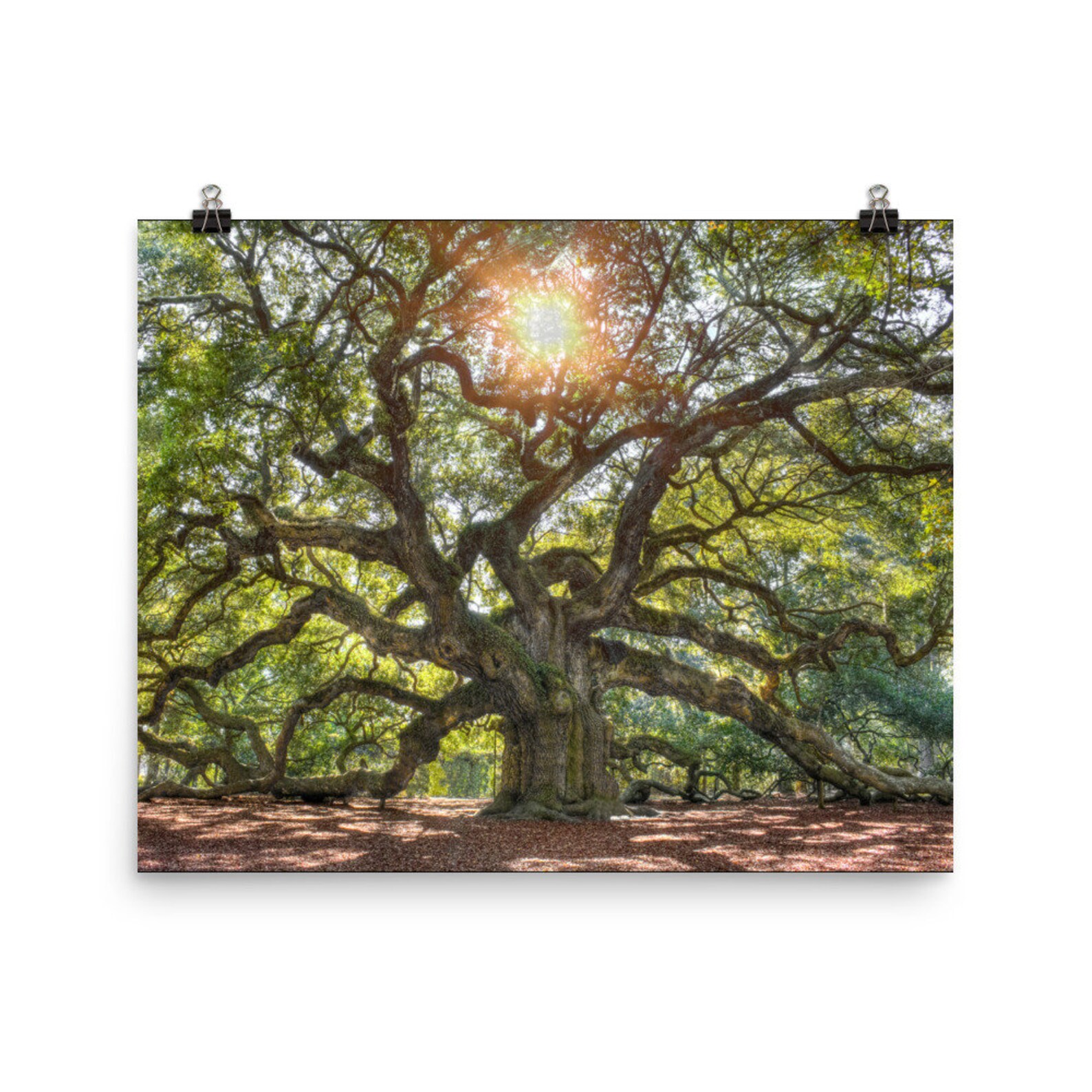 Tree of Life Wall Art Poster Tree of Life Print Oak Tree - Etsy UK