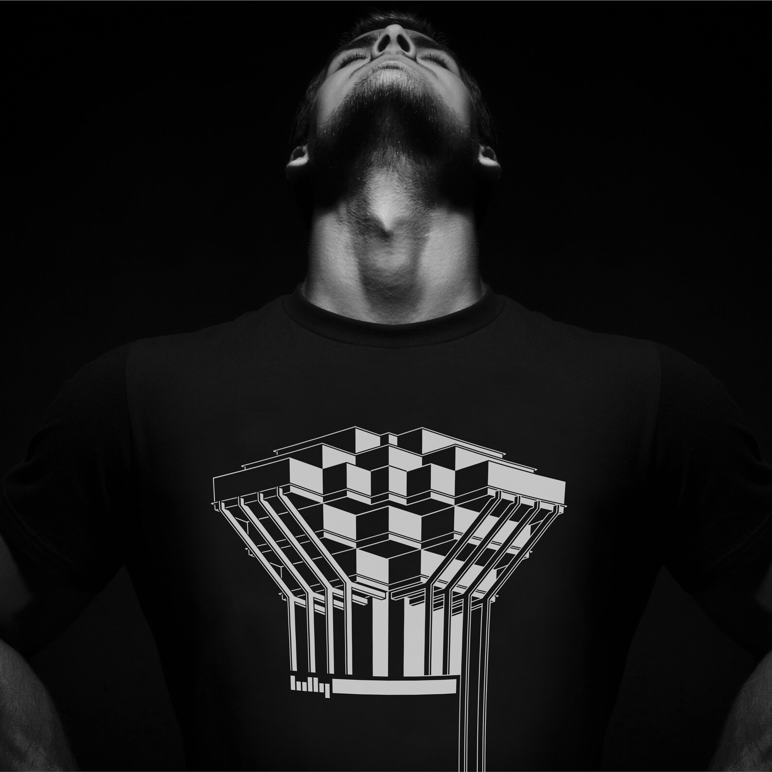 Mens Graphic T-shirt Featuring San Diego's Geisel Library. for the ...