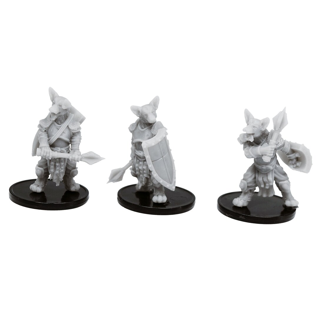 Dnd Miniature Set of Anthropomorphic Corgi Fighter With Shields Dnd ...
