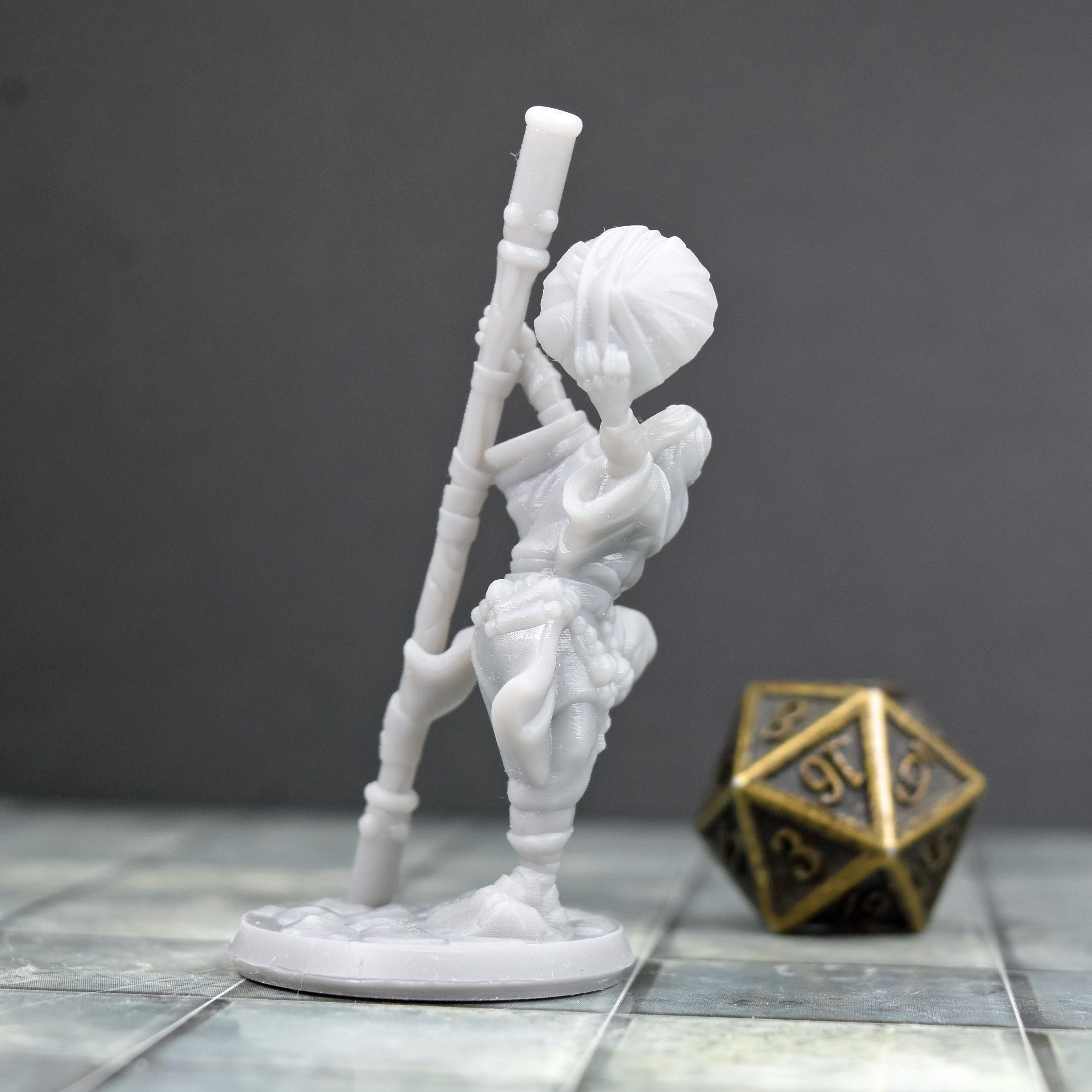 Human Female Monk Miniature for Dungeons and Dragons and Other | Etsy