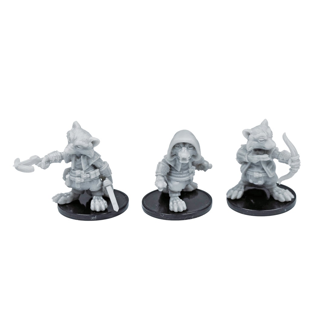 Dnd Miniature Set of Resin Racoon Rogues Dnd Miniatures for Tabletop ...