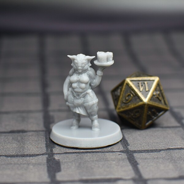 Dnd Waitress Miniature - Etsy