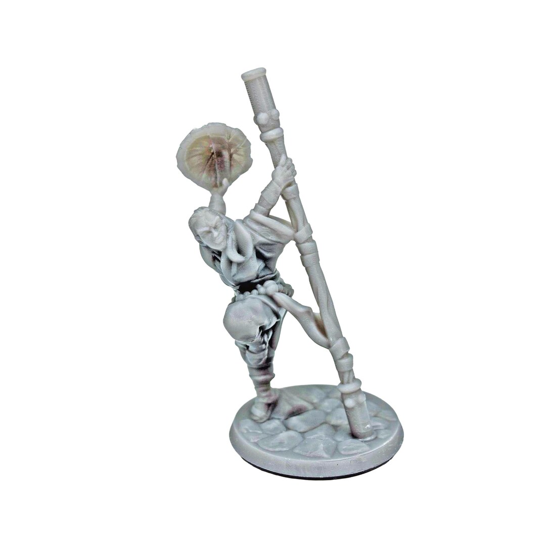 Human Female Monk Miniature for Dungeons and Dragons Miniature and ...