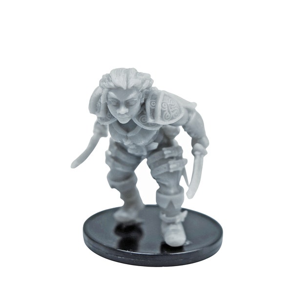 Dwarf Rogue Miniature - Etsy