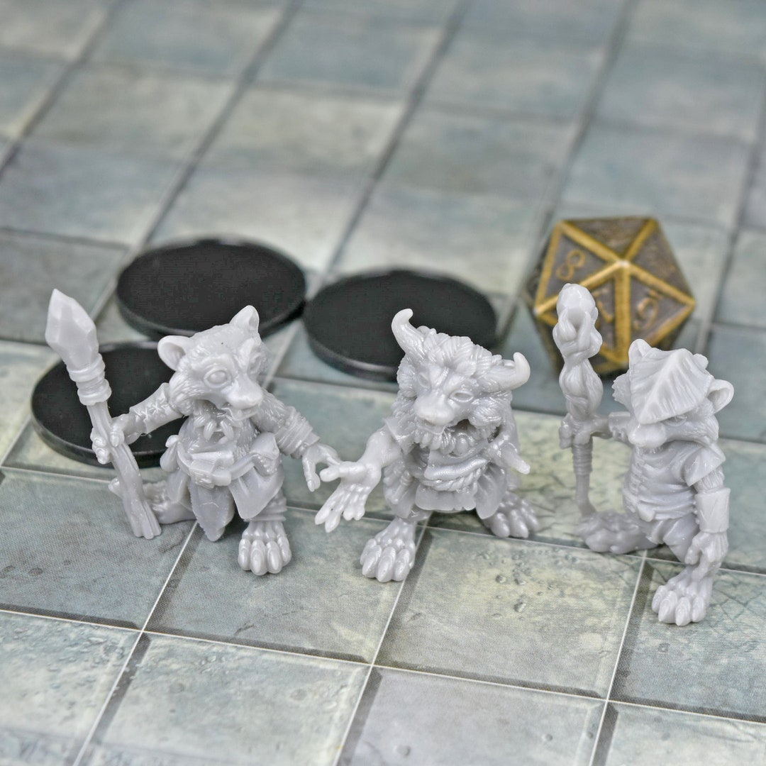 Dnd Miniature Set of Resin Racoon Druids Dnd Miniatures for Tabletop ...