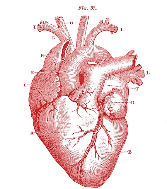 The Tell Tale Heart Drawings