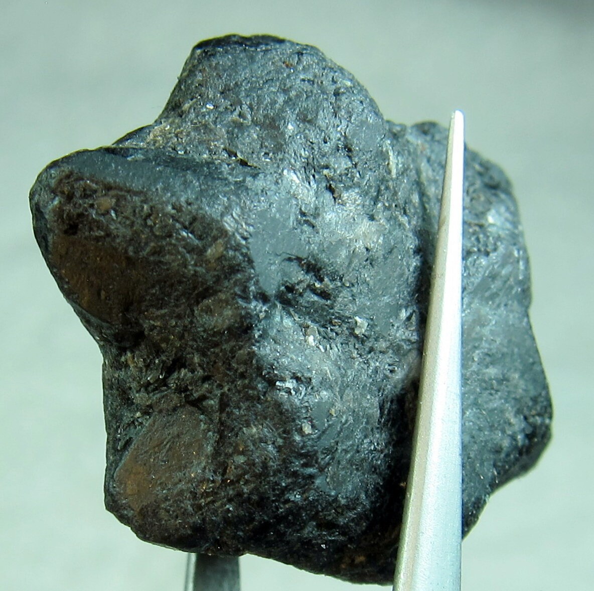 ALEXANDRITE 90.5 CARAT NATURAL Rough Collectors Crystal | Etsy