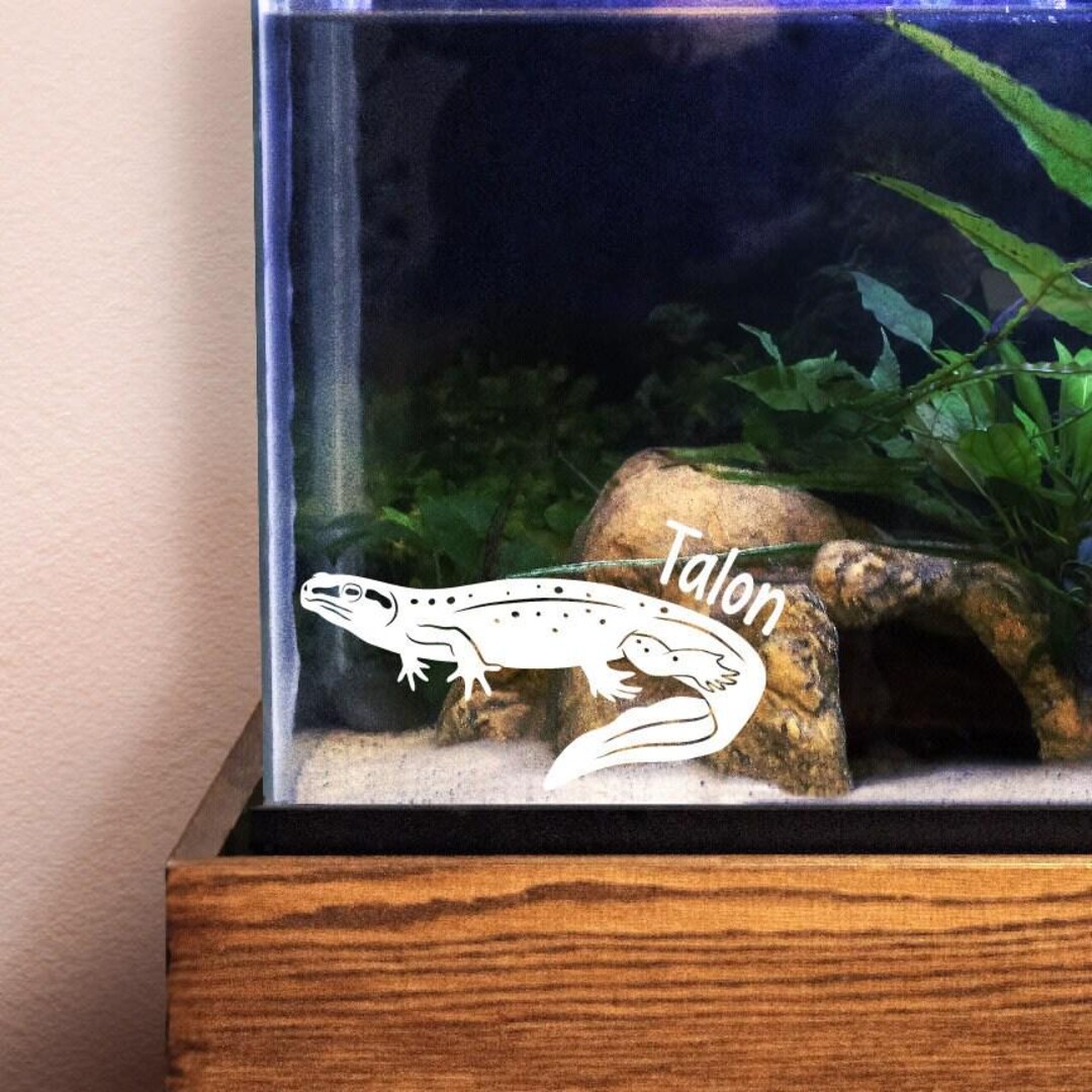 Eastern Newt Customizable Decal, Waterproof Vinyl Decal, Cute Amphibian ...