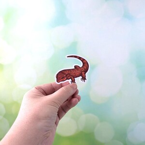 Tegu Vinyl Sticker Pack, Cute Reptile Gift for Lizard Lovers and Owners ...