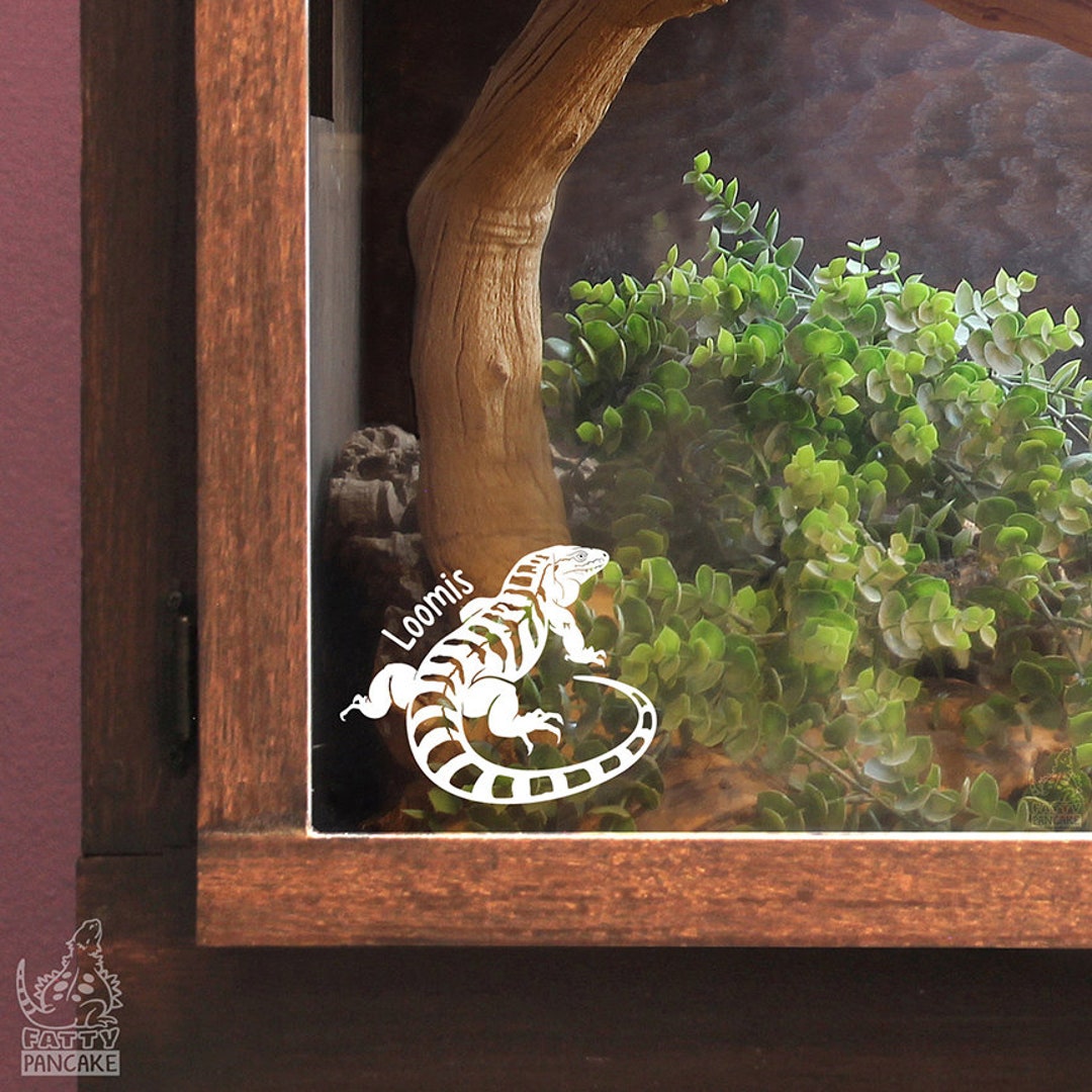 Argentine Tegu Vinyl Monitor Decal Cute Lizard Reptile Sticker - Etsy